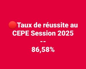 RÉSULTATS DU CEPE 2025 CI : 86,58 % de taux de réussite - zone2etudes